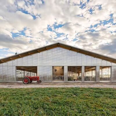 Modern Design Prefab Dairy Cow Shed Steel Structure Farm House With Cow ...