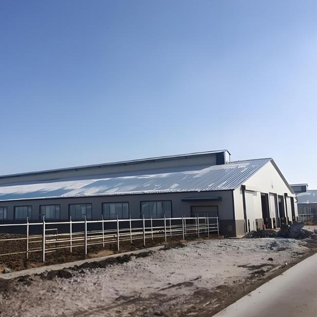 Weld Steel Structure Cow Shed Construction , Temporary Livestock Shelter