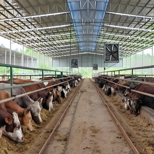Weld Steel Structure Cow Shed Construction , Temporary Livestock Shelter